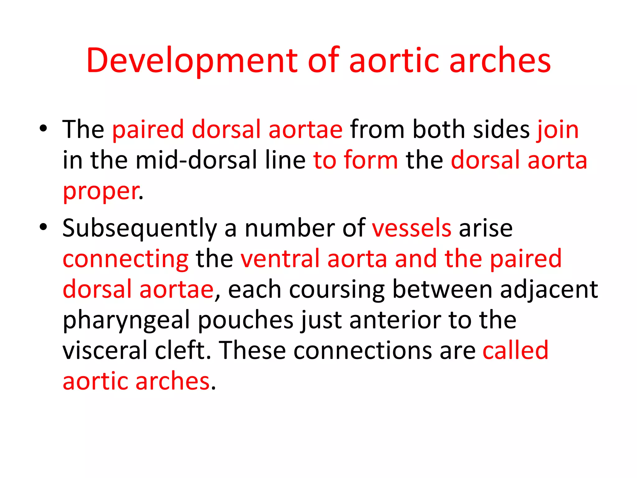 Comparative anatomy of aortic arches | PDF