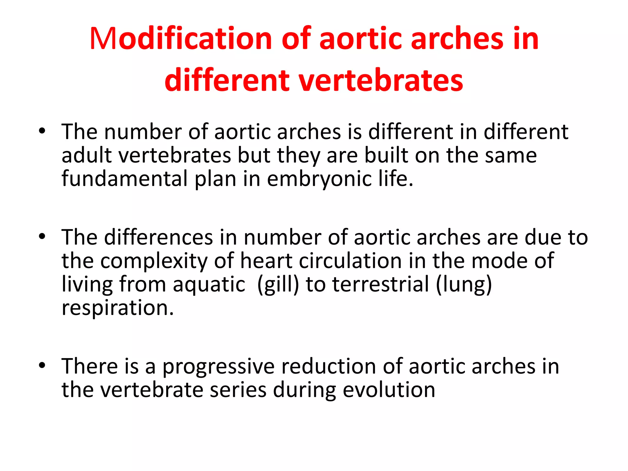 Comparative anatomy of aortic arches | PDF