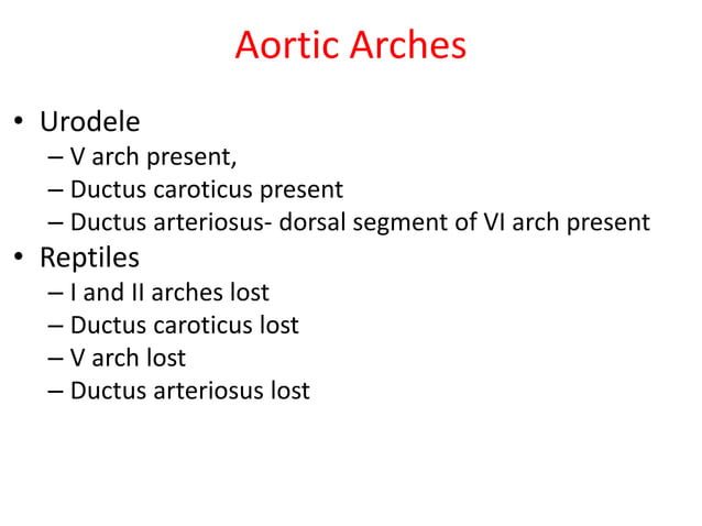 Comparative anatomy of aortic arches | PDF | Biological Sciences | Science