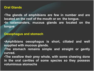 Comparative Anatomy of Digestive System of Vertebrates | PPTX