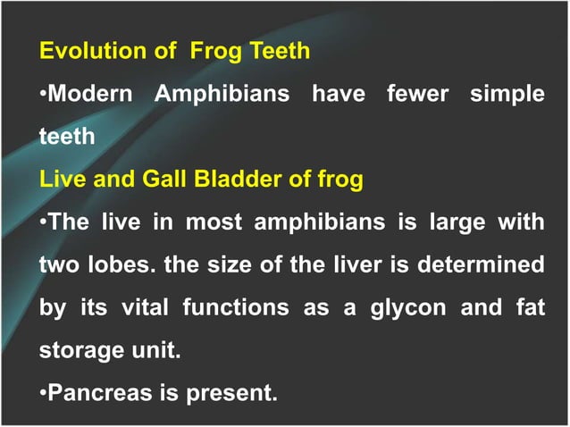 Comparative Anatomy of Digestive System of Vertebrates | PPTX