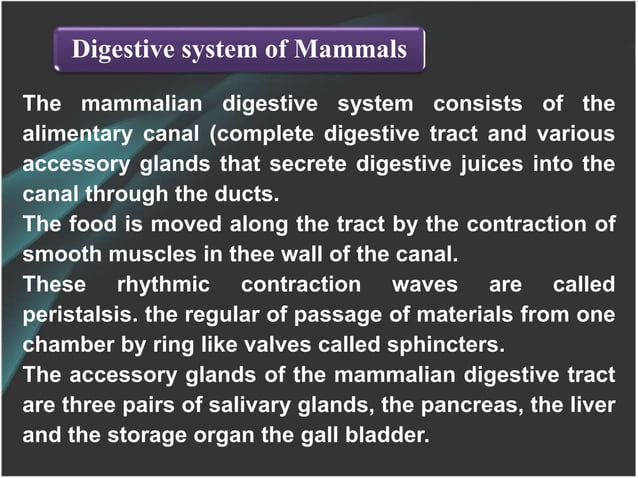 Comparative Anatomy of Digestive System of Vertebrates | PPTX