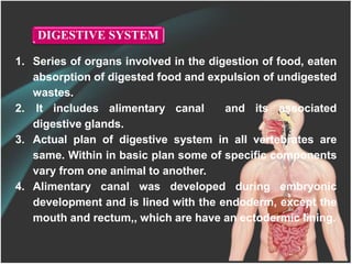 Comparative Anatomy of Digestive System of Vertebrates | PPTX