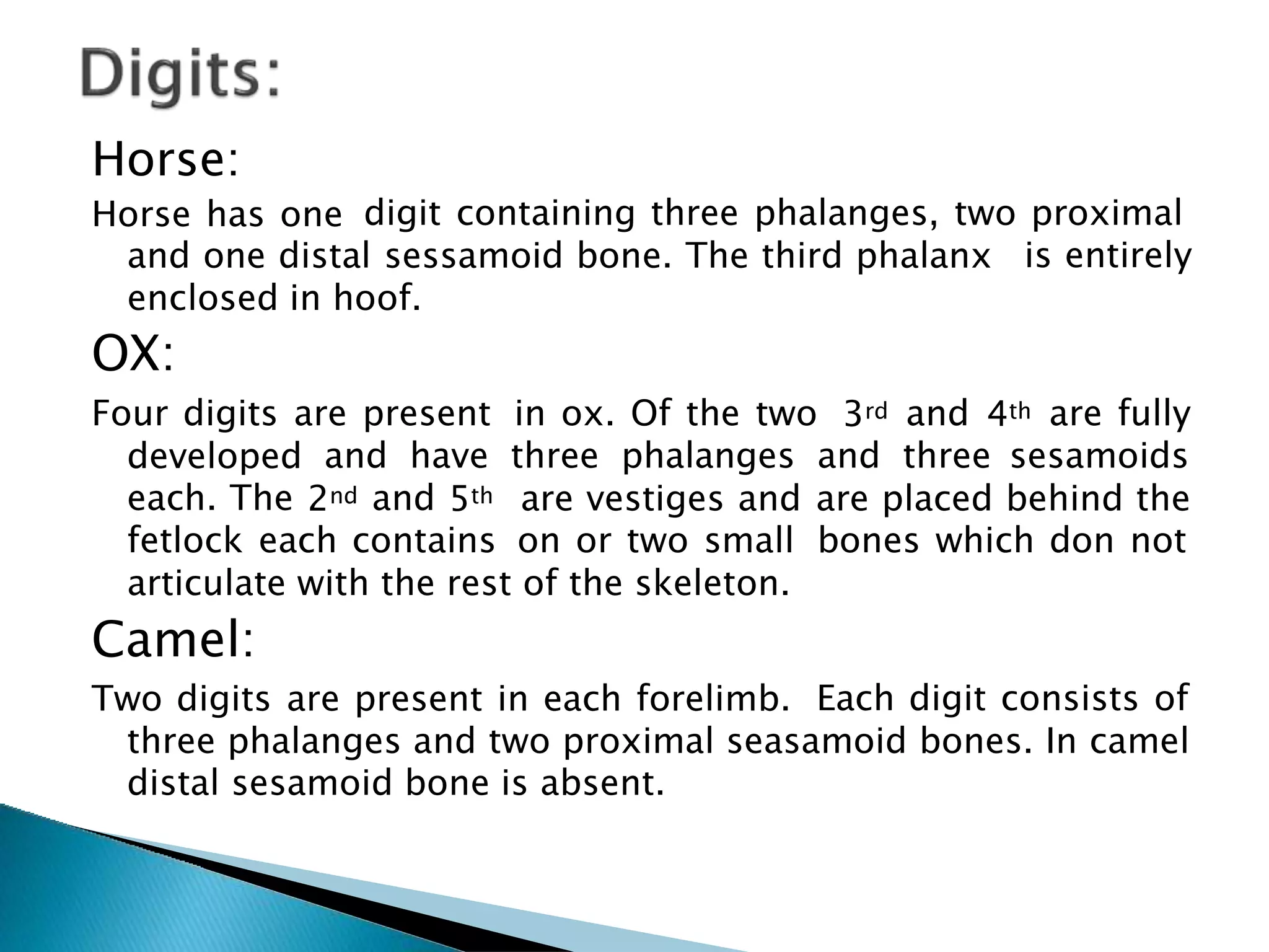 Comparative anatomy of forelimb of camel , ox and horse | PPTX