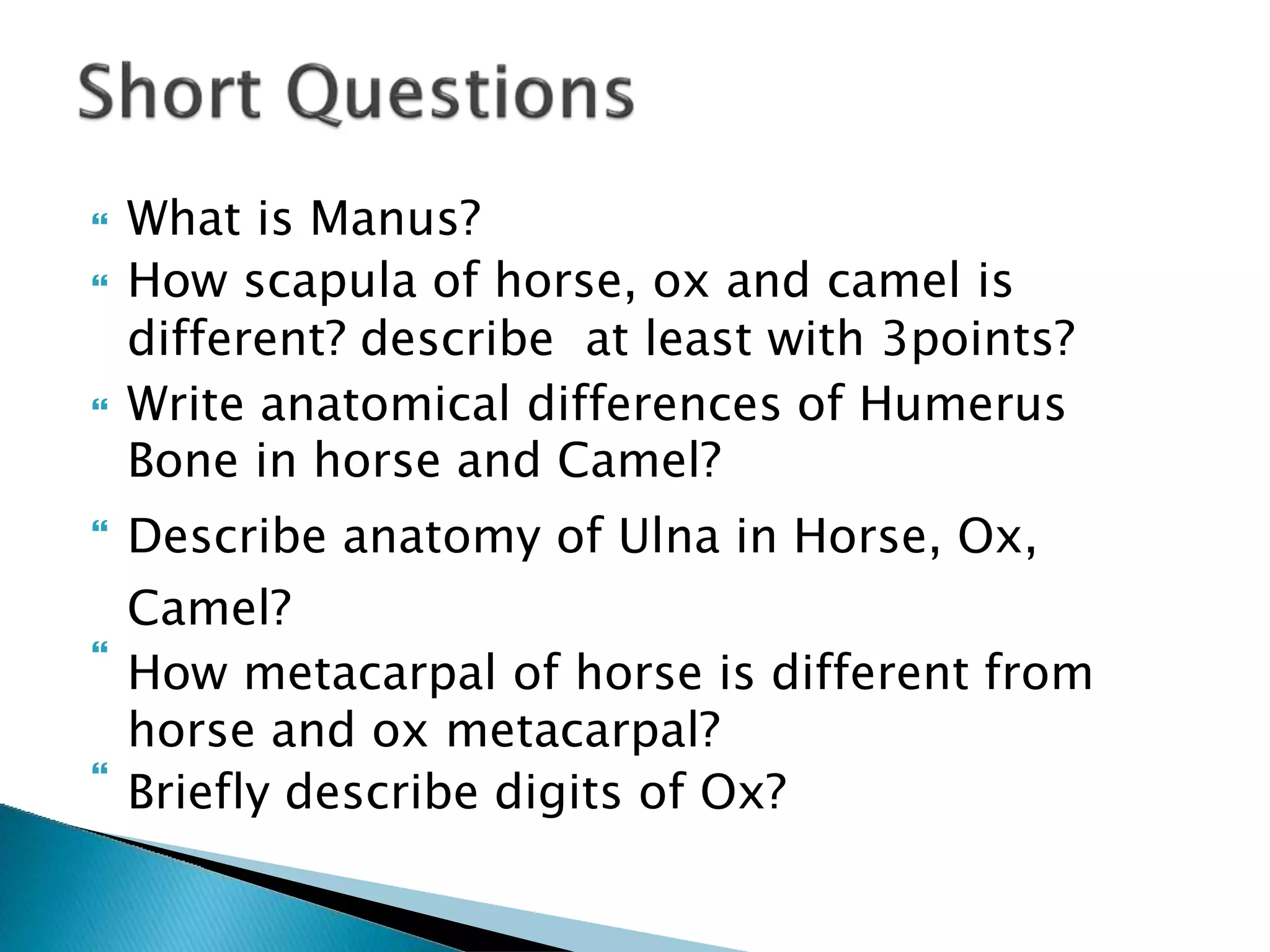 Comparative anatomy of forelimb of camel , ox and horse | PPTX