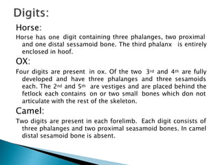 Comparative anatomy of forelimb of camel , ox and horse | PPTX
