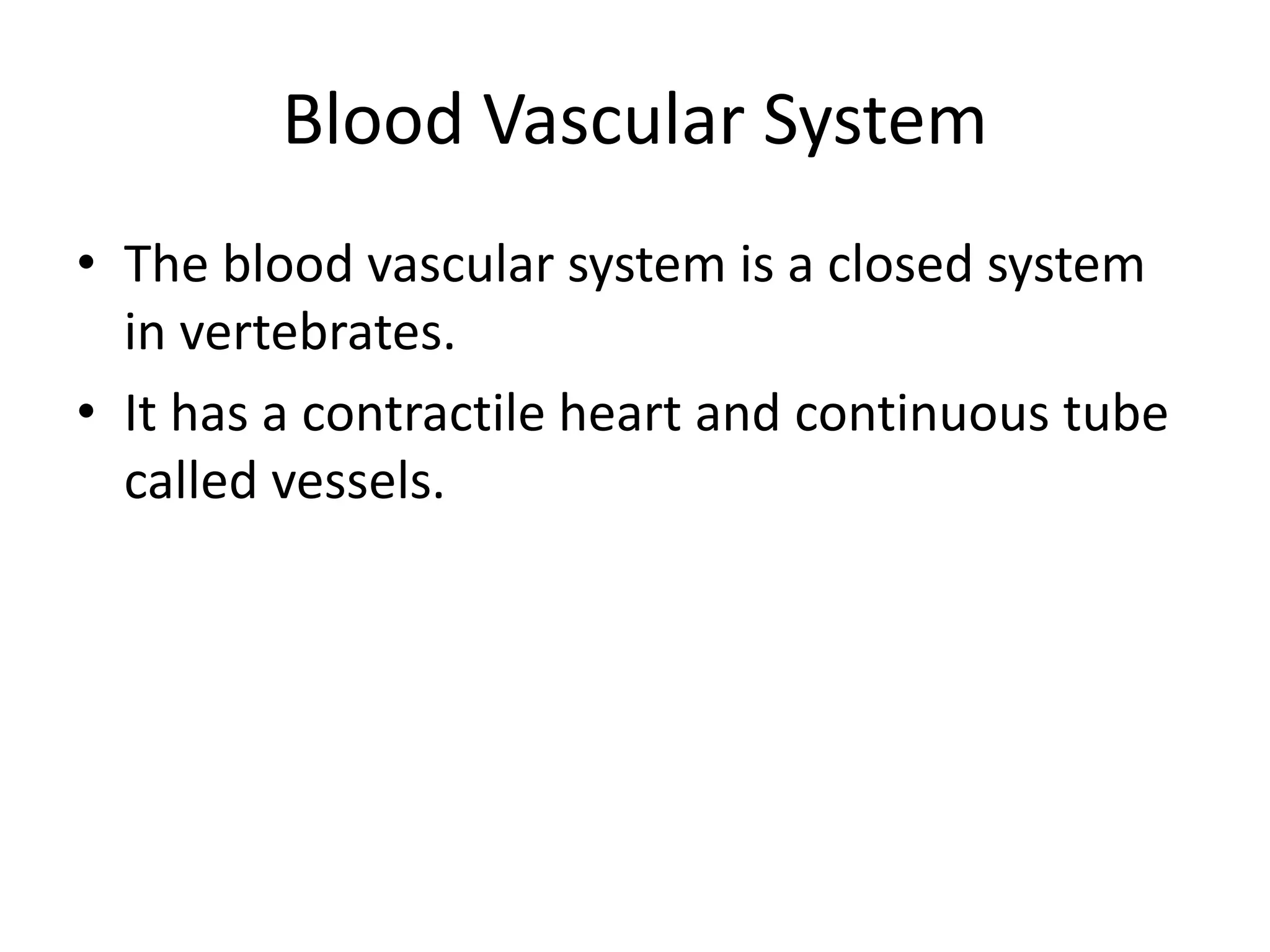 Comparative anatomy of heart.pptx