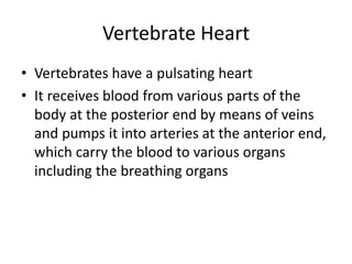 Comparative anatomy of heart.pptx