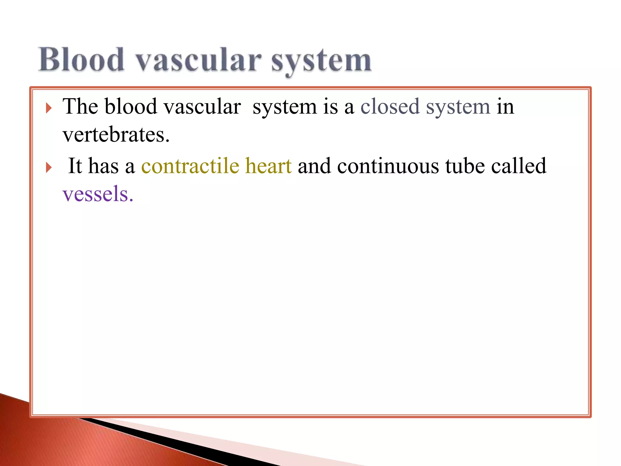 Comparative anatomy of heart structure | PPTX