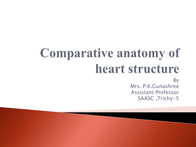 Comparative anatomy of heart structure | PPTX