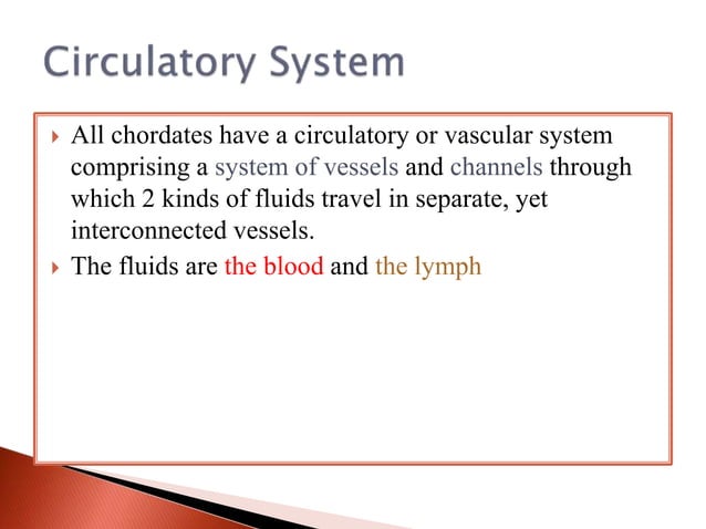Comparative anatomy of heart structure | PPTX