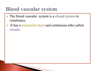 Comparative anatomy of heart structure | PPTX