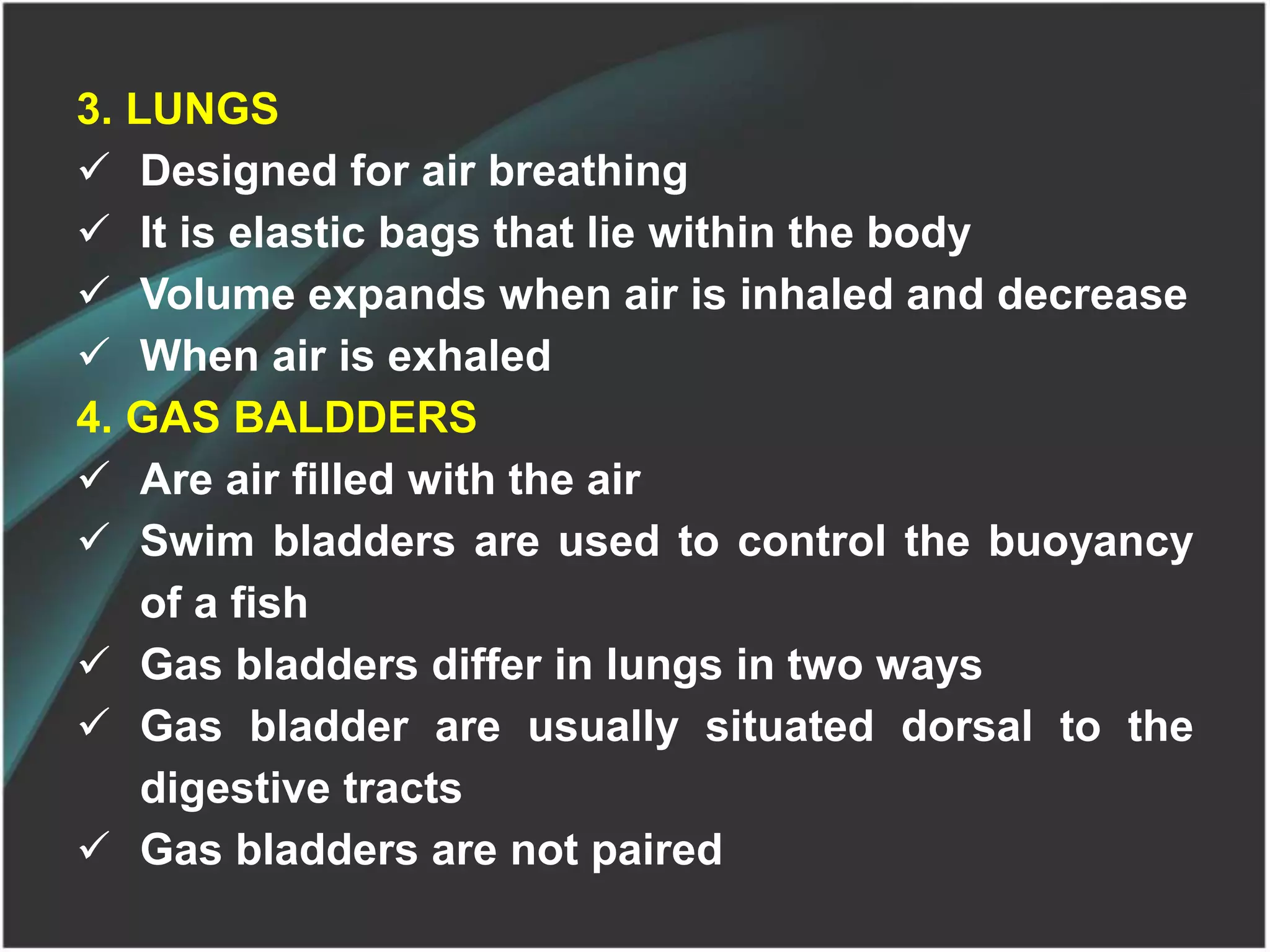 comparative anatomy of respiratory system.pdf