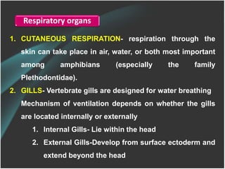 comparative anatomy of respiratory system.pdf