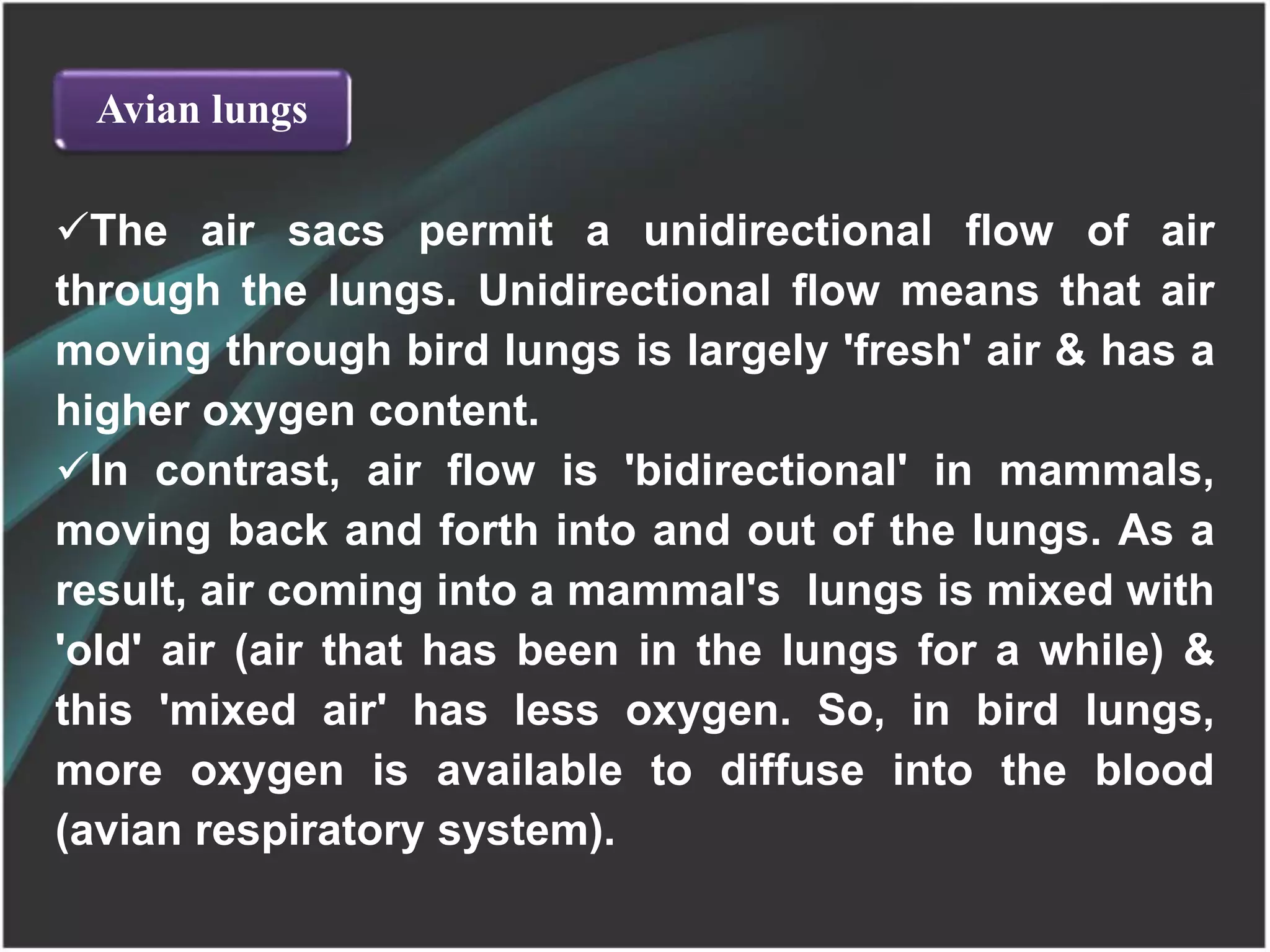 Comparative Anatomy of Respiratory System of Vertebrates | PPTX