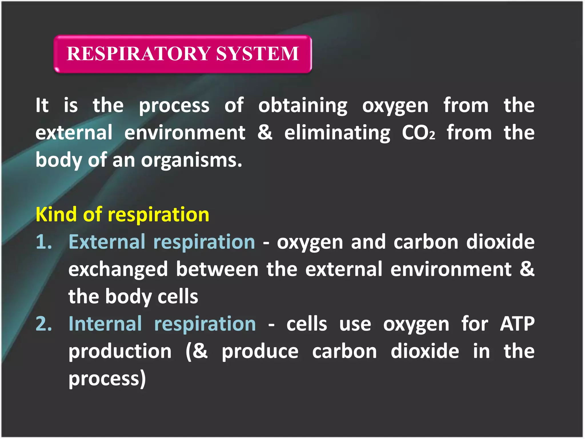 Comparative Anatomy of Respiratory System of Vertebrates | PPTX