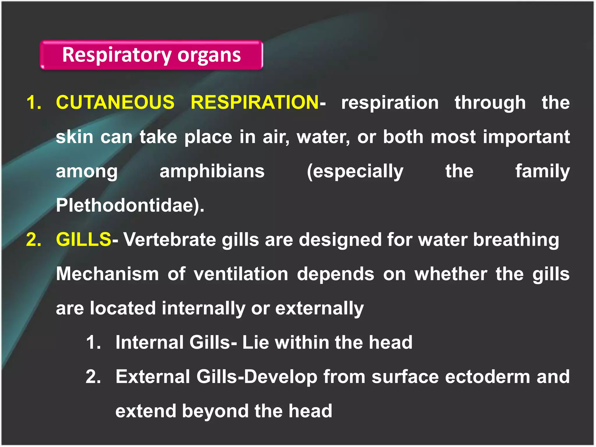 Comparative Anatomy of Respiratory System of Vertebrates | PPTX