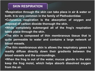 Comparative Anatomy of Respiratory System of Vertebrates | PPTX