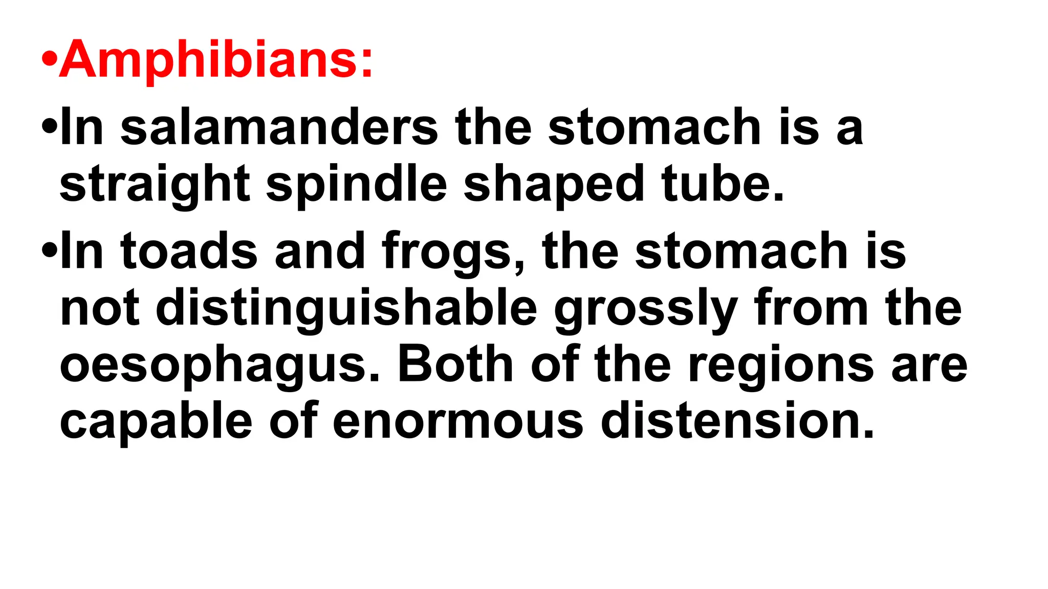 Comparative Anatomy of Stomach in Vertebrates.pptx.pdf