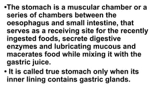 Comparative Anatomy of Stomach in Vertebrates.pptx.pdf