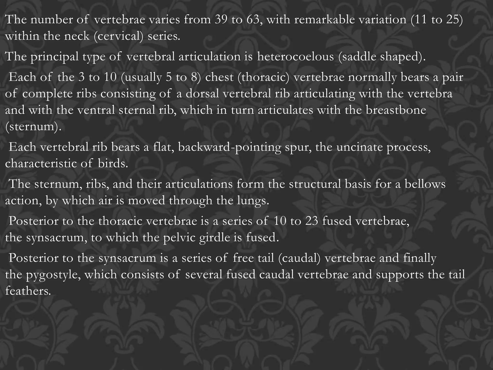Comparative anatomy of vertebrates | PPTX