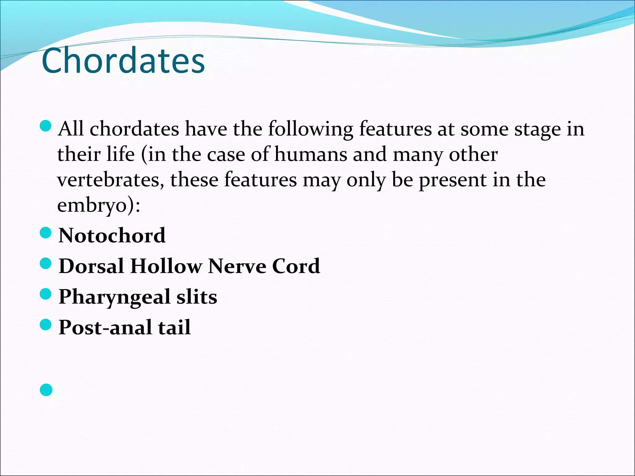 Comparative anatomy (skeletal system) | PPT