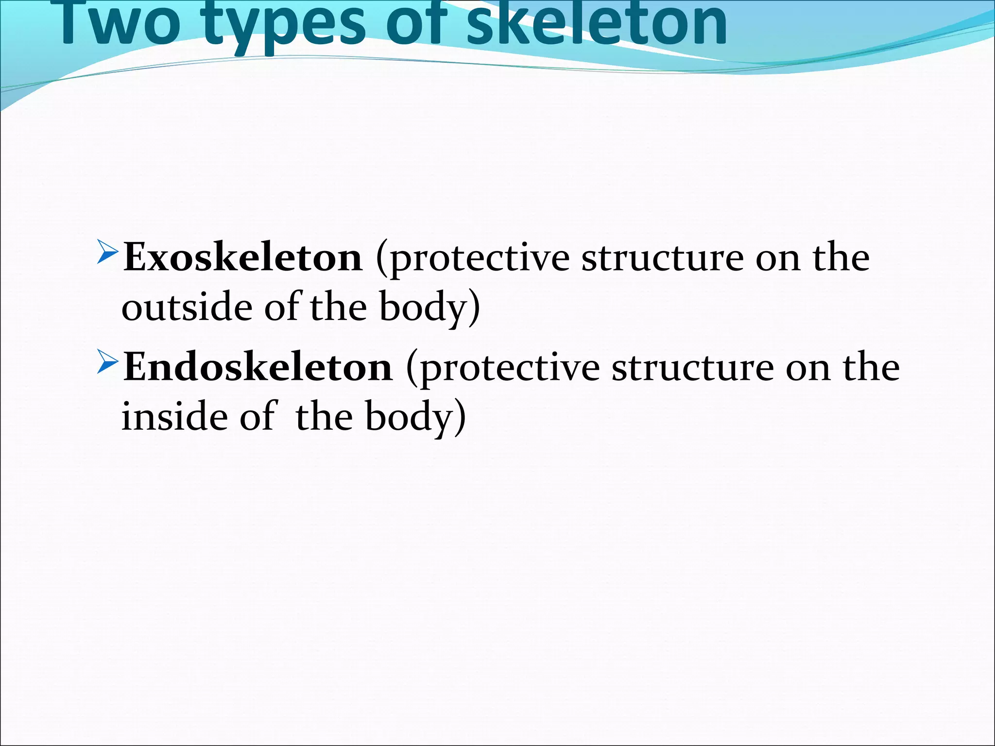 Comparative anatomy (skeletal system) | PPT
