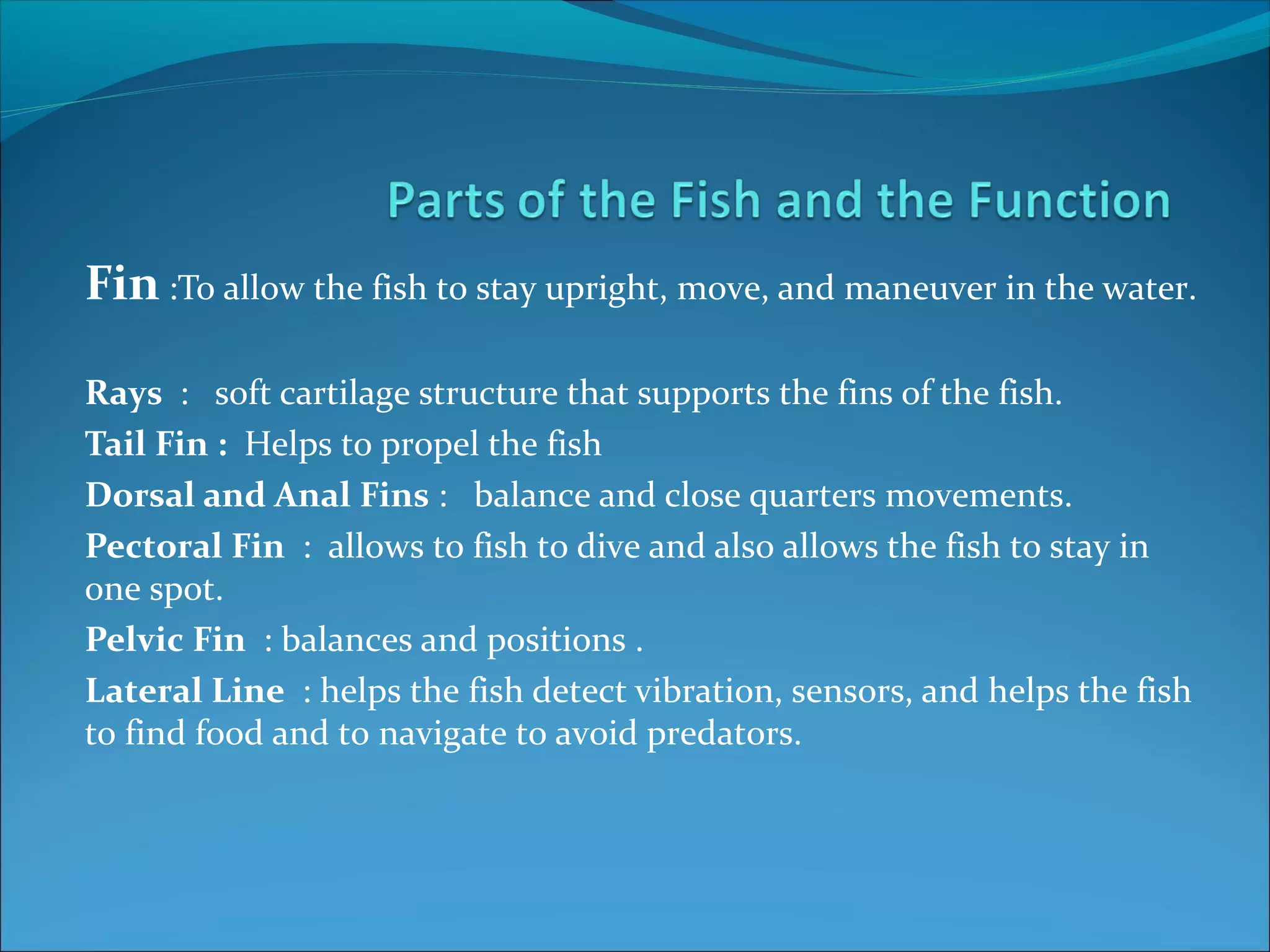 Comparative anatomy (skeletal system) | PPT
