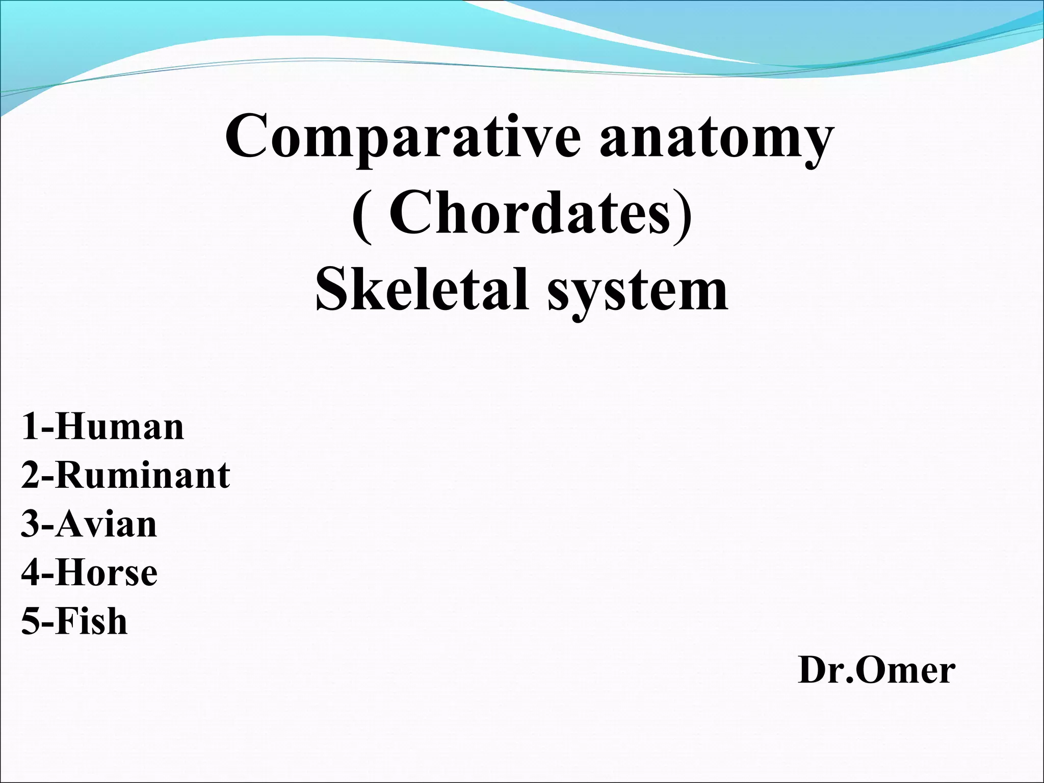 Comparative anatomy of chordate skeletal systems | PPT