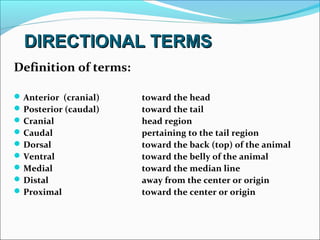 Comparative anatomy (skeletal system) | PPT