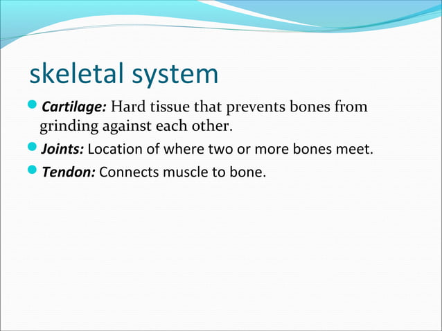 Comparative anatomy (skeletal system) | PPT | Biological Sciences | Science