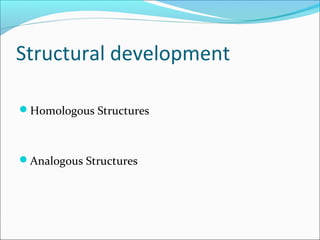 Comparative anatomy (skeletal system) | PPT
