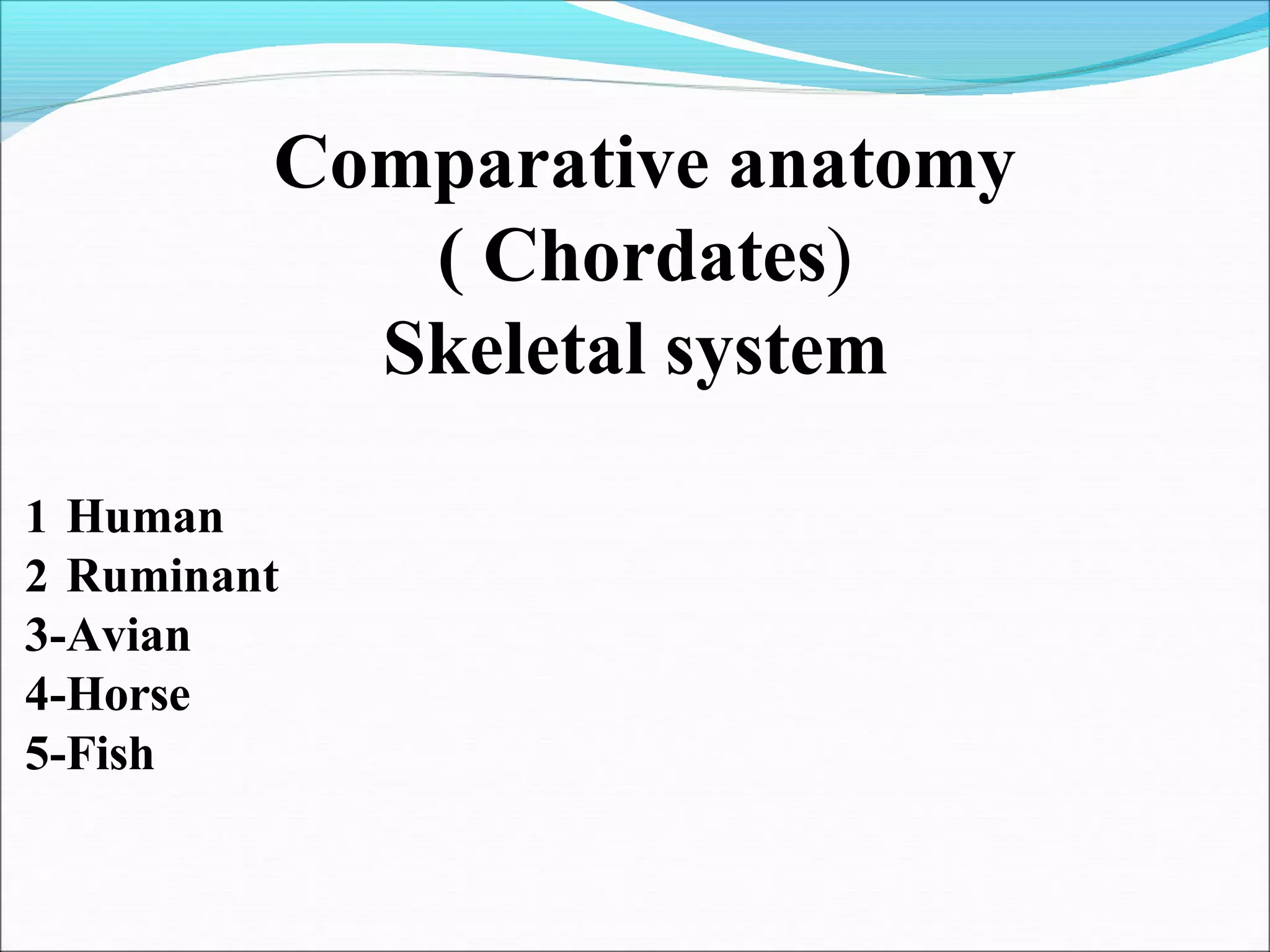 Comparative anatomy skeletal system.pptx