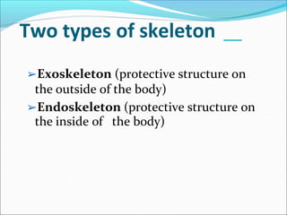 Comparative anatomy skeletal system.pptx