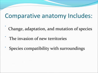 Comparative anatomy skeletal system.pptx