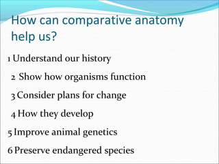 Comparative anatomy skeletal system.pptx