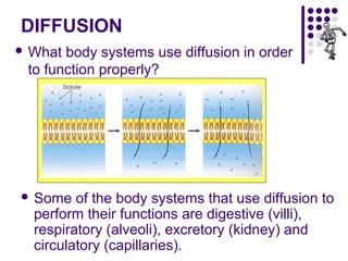 Comparative anatomy | PPT