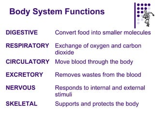 Comparative anatomy | PPT