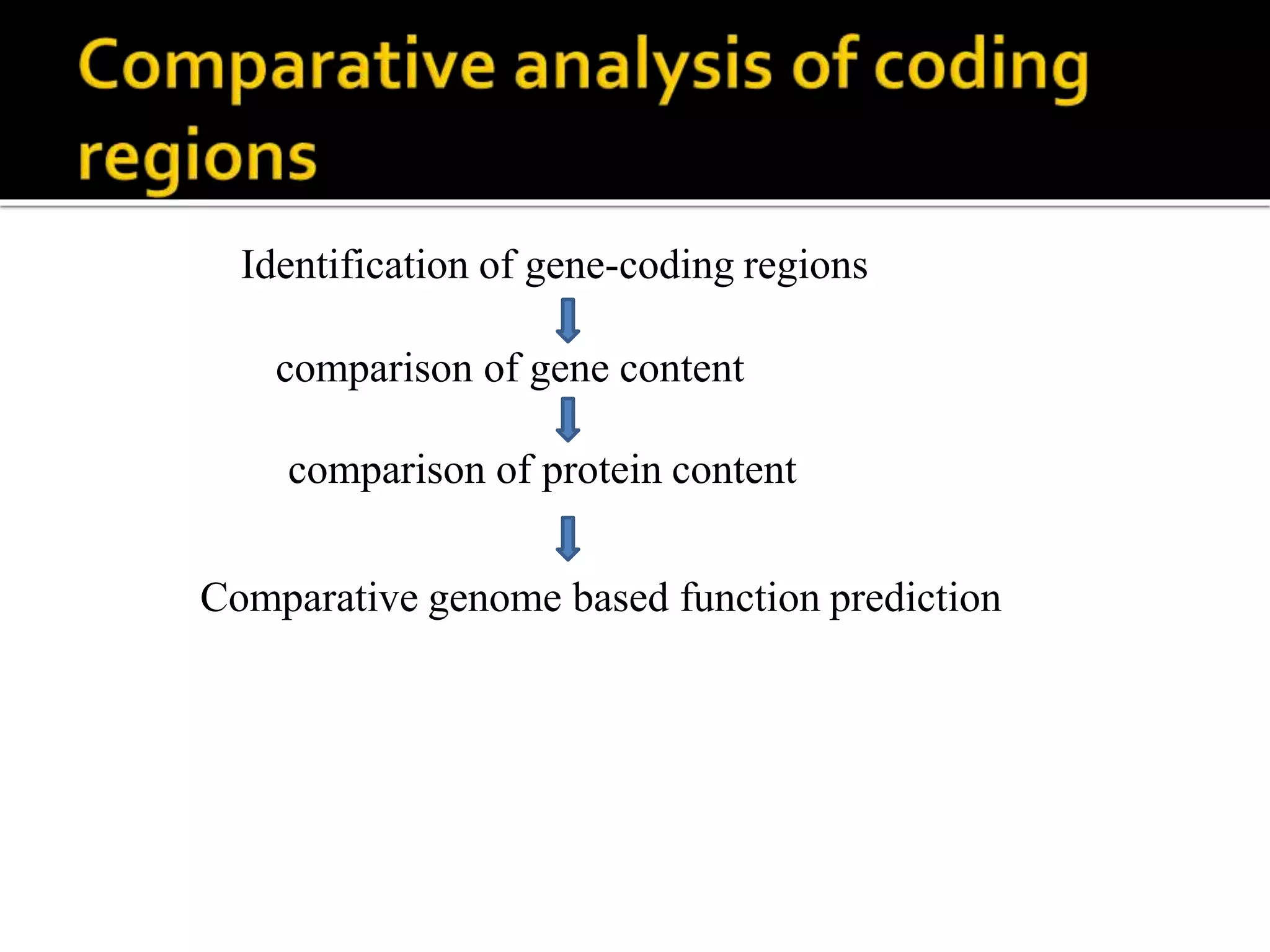 Comparative and functional genomics | PPTX