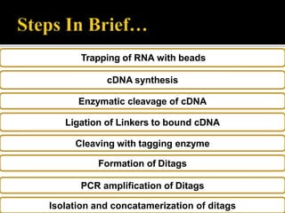 Comparative and functional genomics | PPTX