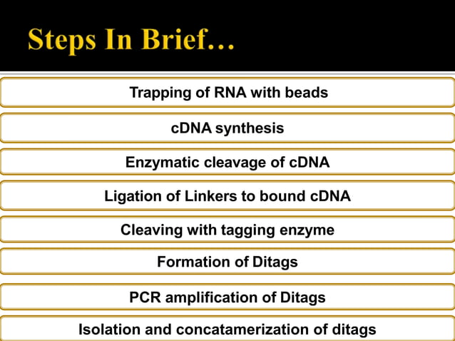 Comparative And Functional Genomics Pptx Genetics Science
