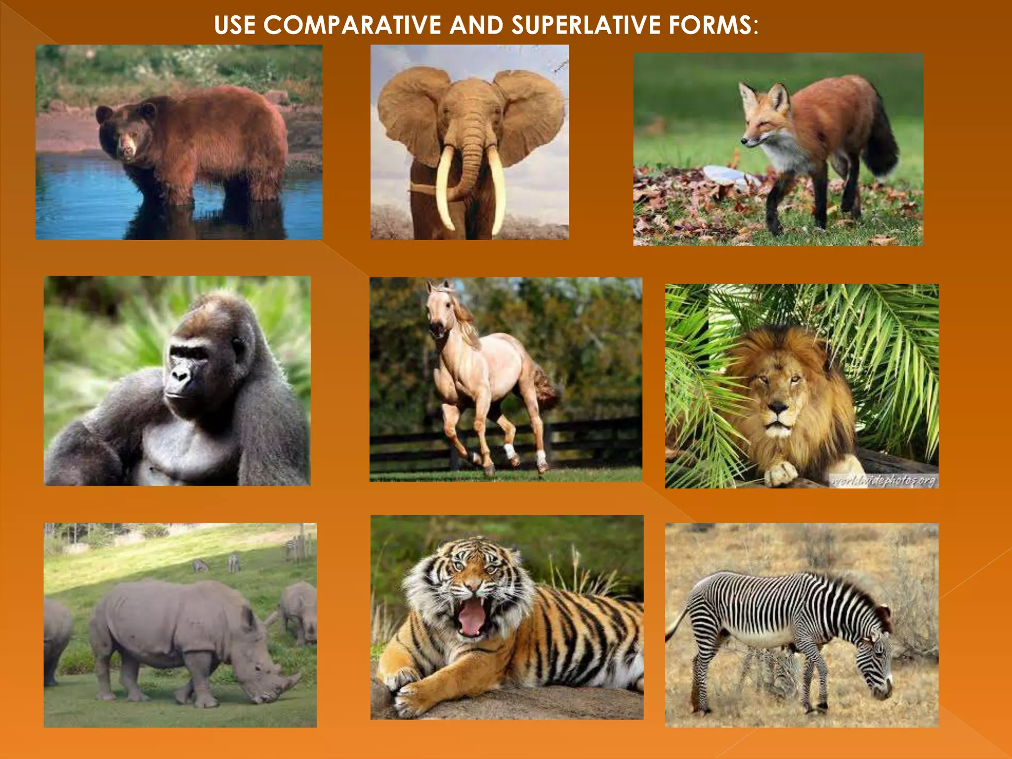 Comparative and superlative adjectives | PPTX