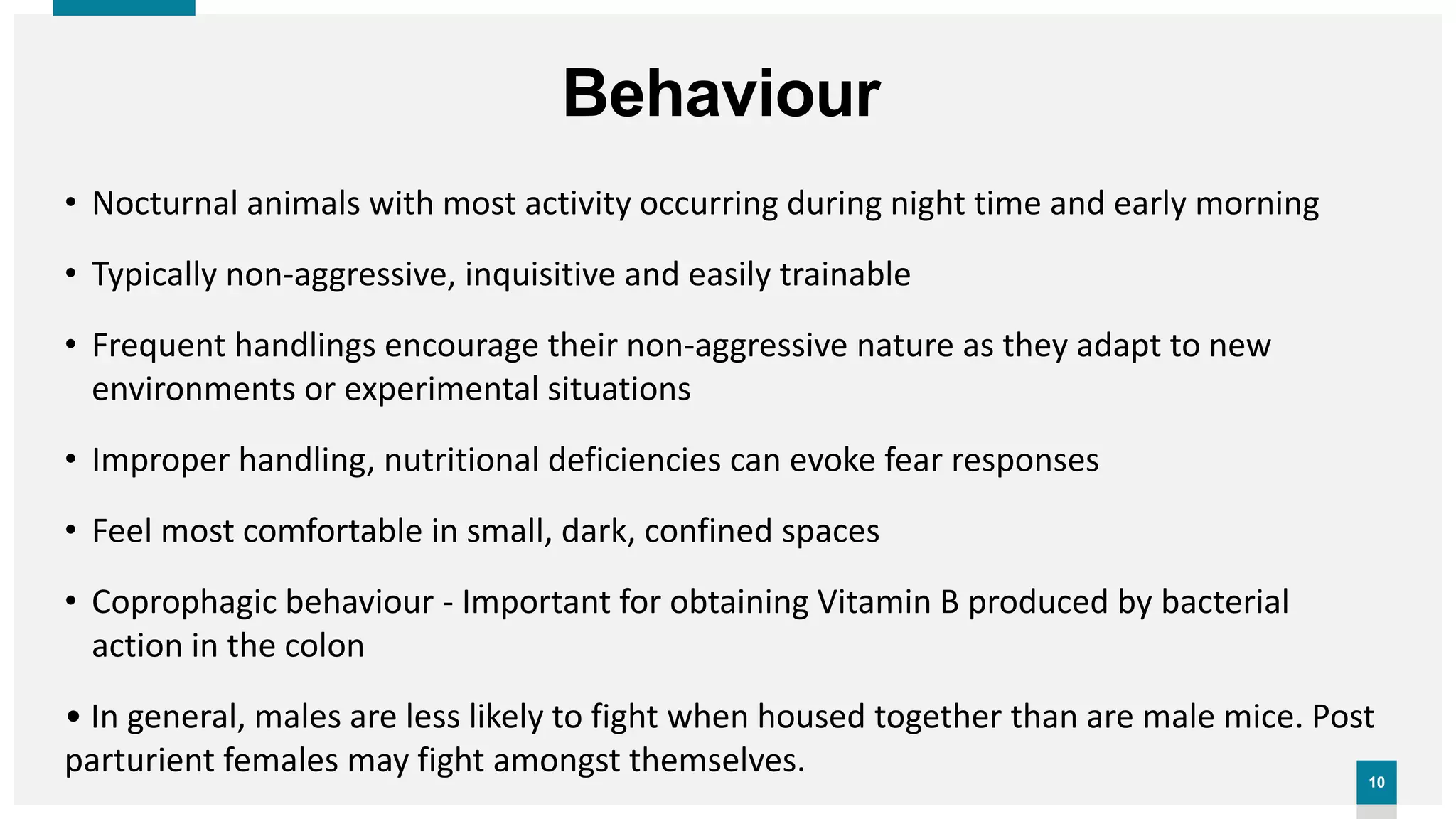 Comparative biology of rat and human | PPTX