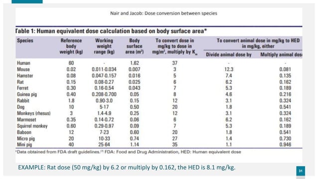 Comparative biology of rat and human | PPTX