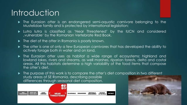 Comparative diet analysis of the eurasian otter | PPT | Free Download