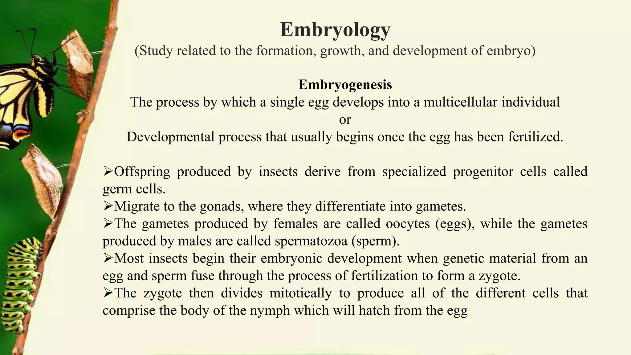 Comparative embryology of different insects_Zubair.pptx