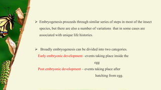 Comparative embryology of different insects_Zubair.pptx