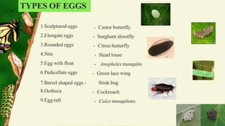 Comparative embryology of different insects_Zubair.pptx