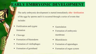 Comparative embryology of different insects_Zubair.pptx