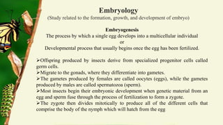 Comparative embryology of different insects_Zubair.pptx